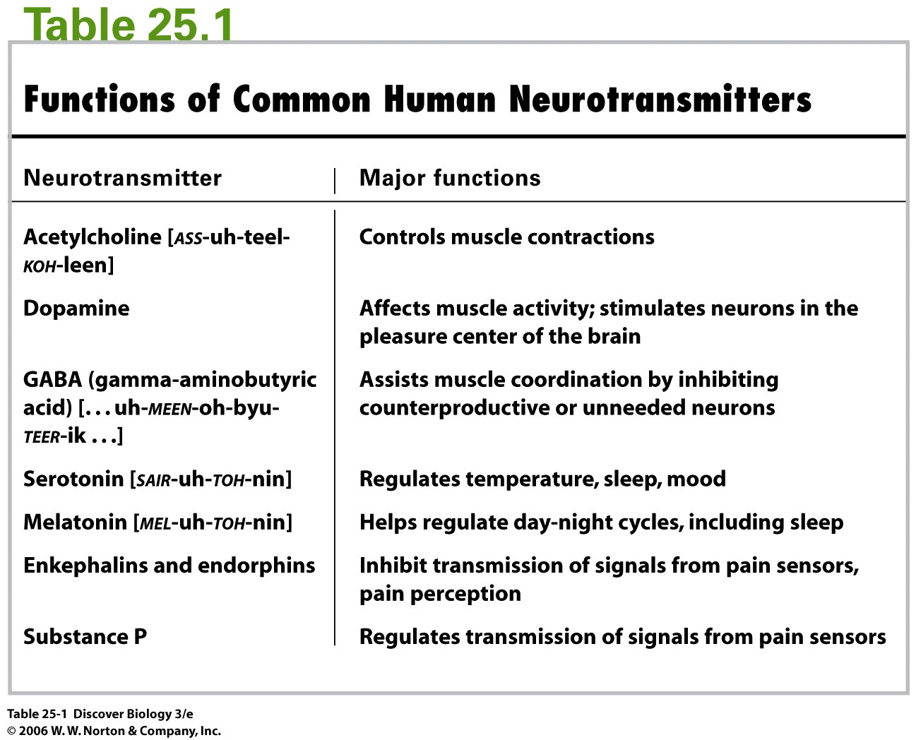 Neurotransmittersandtheirfunctions